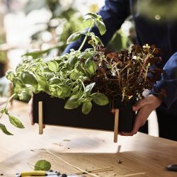Botanic Box - Metal and wood planter by Design House Stockholm ...