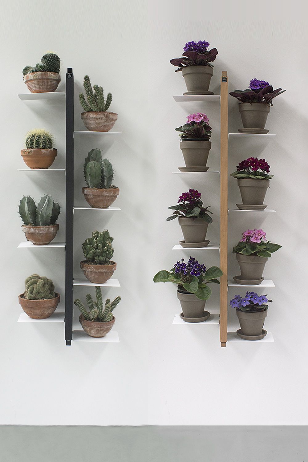 Zia Flora S - Porta vasi verticale, sospeso e fissato a parete, in ...